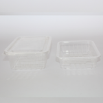 5” x 7”Container With Lids – Ecstacy Limited